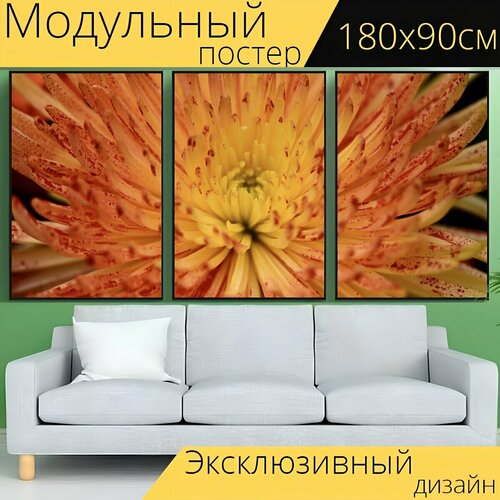 Модульный постер "Хризантема, апельсин, желтый" 180 x 90 см. для интерьера
