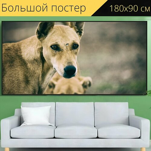 Большой постер "Животное, собака, домашний питомец" 180 x 90 см. для интерьера