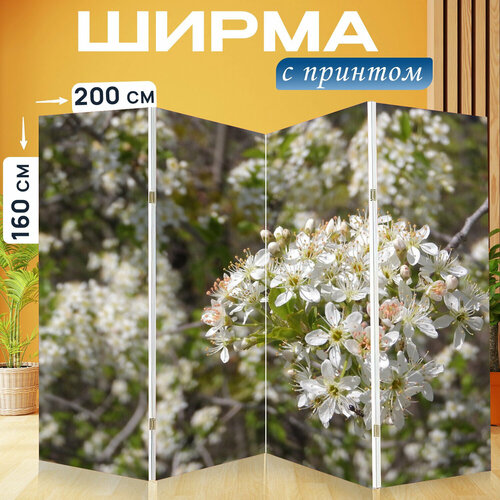 Ширма перегородка с принтом "Куст, цветы, белый" на холсте - 200x160 см. для зонирования, раскладная