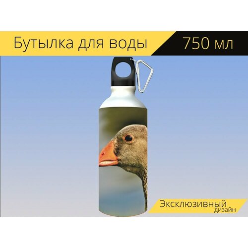 Бутылка фляга для воды "Гусь, серый гусь, птица" 750 мл. с карабином и принтом