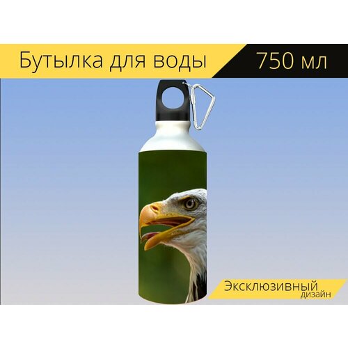 Бутылка фляга для воды "Орел, птица, хищные птицы" 750 мл. с карабином и принтом