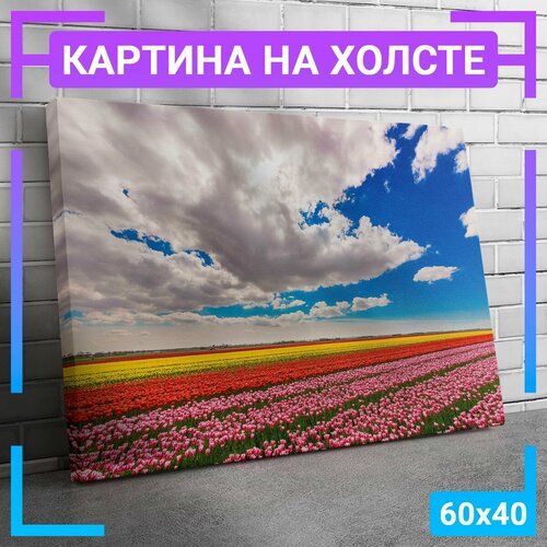Картина интерьерная на холсте "Поле тюльпанов" 60х40 см