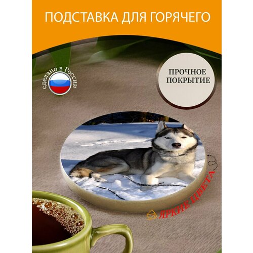Подставка под горячее "Хаски, собака, сибирский хаски" 10 см. из блого мрамора