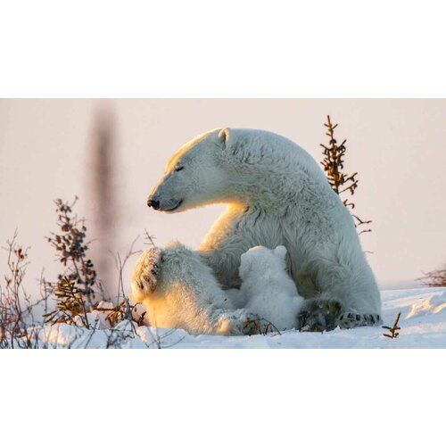 Картина на холсте 60x110 LinxOne "Снег медведи природа" интерьерная для дома / на стену / на кухню / с подрамником
