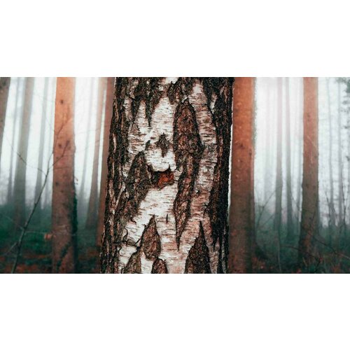 Картина на холсте 60x110 LinxOne "Береза, дерево, лес, туман" интерьерная для дома / на стену / на кухню / с подрамником