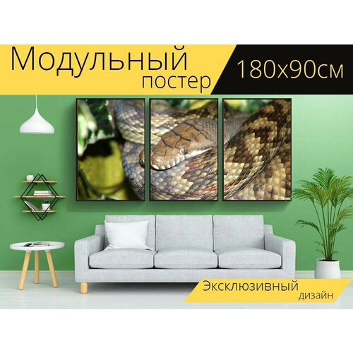 Модульный постер "Аметистовый питон, змея, питон" 180 x 90 см. для интерьера