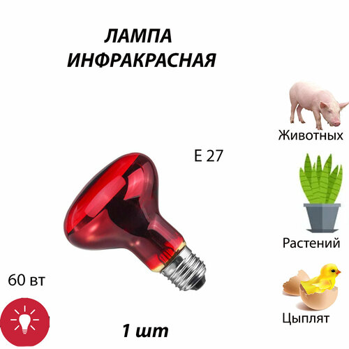 Лампа инфракрасная 1 шт для обогрева для лечения, для курятника, для растений, для птиц, для животных, для цыплят (60 Вт Е27)