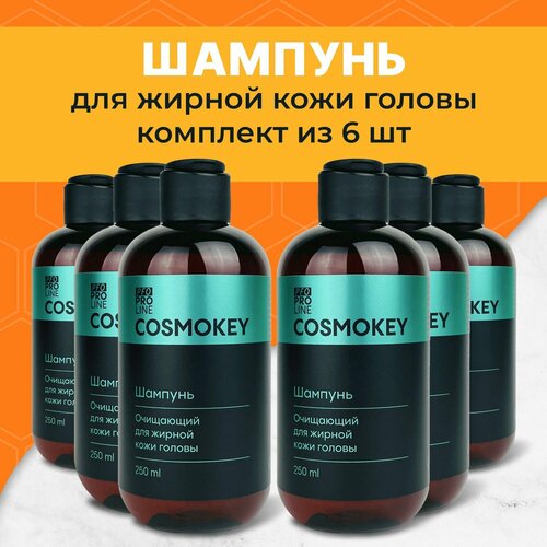 Cosmokey / Космокей Шампунь очищающий для жирной кожи головы, при избыточной жирности, перхоти, зуде 6 шт по 250 мл