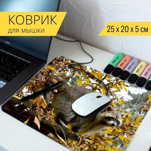 Коврик для мыши с принтом "Природа, дерево, енот" 25x20см.