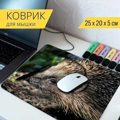 Коврик для мыши с принтом "Ежик, животное, шпора" 25x20см.