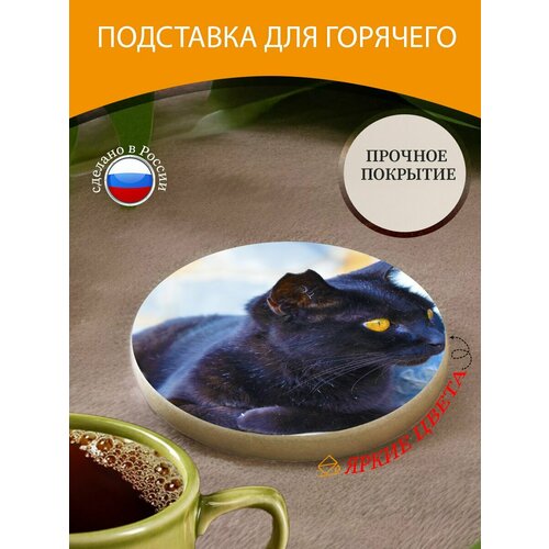 Подставка под горячее "Кошка, черный кот, кошачьи глаза" 10 см. из блого мрамора