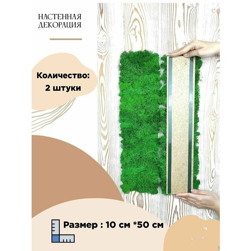 Панно из стабилизированного мха 10см*50 см 2 штуки / картина для декора / озеленения интерьера зеленое Яблоко
