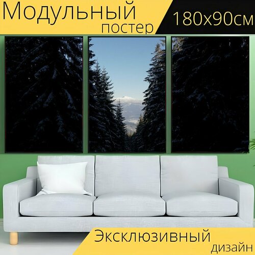 Модульный постер "Хвойные породы, снег, лес" 180 x 90 см. для интерьера