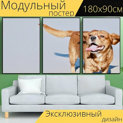 Модульный постер "Счастливый, щенок, собака" 180 x 90 см. для интерьера