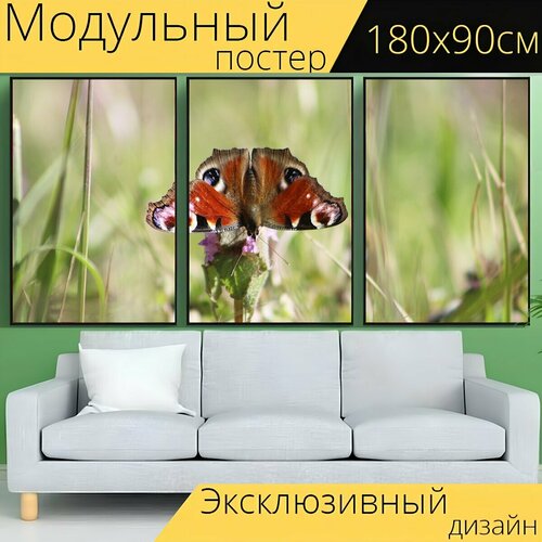 Модульный постер "Природа, насекомые, бабочки" 180 x 90 см. для интерьера