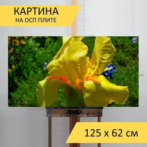 Картина на ОСП 125х62 см. "Ирис, цветок, желтый" горизонтальная, для интерьера, с креплениями