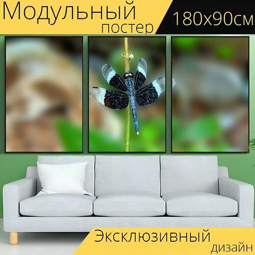 Модульный постер "Стрекоза, насекомое, крылья" 180 x 90 см. для интерьера