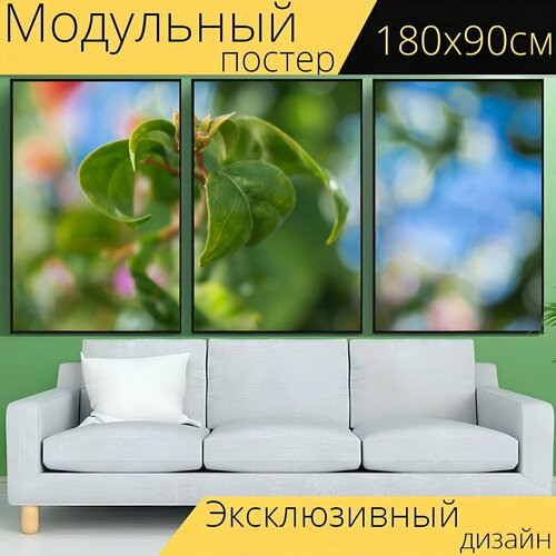 Модульный постер "Цветок, природа, зеленый" 180 x 90 см. для интерьера