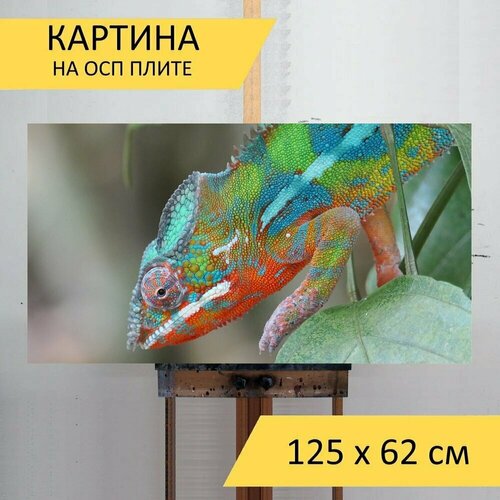 Картина на ОСП 125х62 см. "Хамелеон, рептилия, красочный" горизонтальная, для интерьера, с креплениями