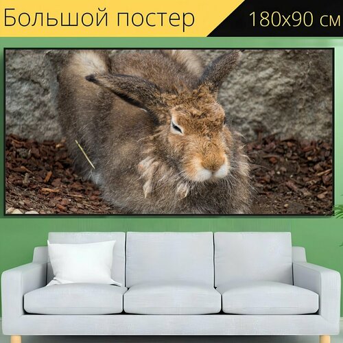 Большой постер "Кролик, животное, дикая природа" 180 x 90 см. для интерьера