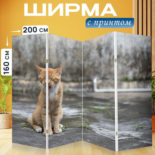 Ширма перегородка с принтом "Кошка, домашний питомец, зевать" на холсте - 200x160 см. для зонирования, раскладная