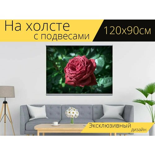Картина на холсте "Роза, красный, цветок" с подвесами 120х90 см. для интерьера
