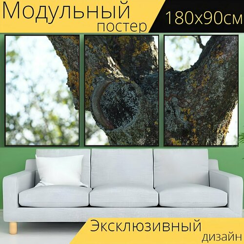 Модульный постер "Дерево, мох, филиал" 180 x 90 см. для интерьера