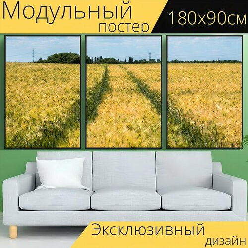 Модульный постер "Ячмень, зерно, кукурузное поле" 180 x 90 см. для интерьера