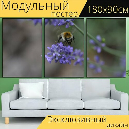 Модульный постер "Лаванда, пчела, фиолетовый" 180 x 90 см. для интерьера