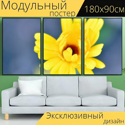 Модульный постер "Сад, цветок, лепестки" 180 x 90 см. для интерьера