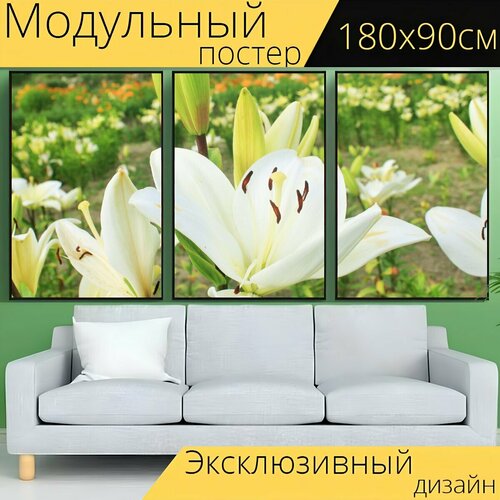 Модульный постер "Цветок, белый, природа" 180 x 90 см. для интерьера