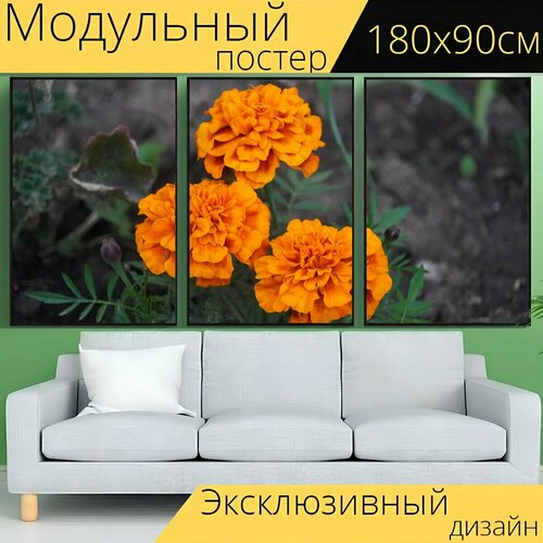 Модульный постер "Оранжевый цветок, природа, завод" 180 x 90 см. для интерьера