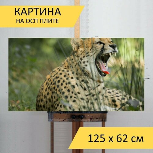 Картина на ОСП 125х62 см. "Гепард, большой кот, хищник" горизонтальная, для интерьера, с креплениями