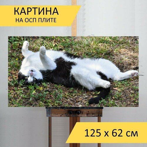 Картина на ОСП 125х62 см. "Кошка, домашний питомец, животное" горизонтальная, для интерьера, с креплениями