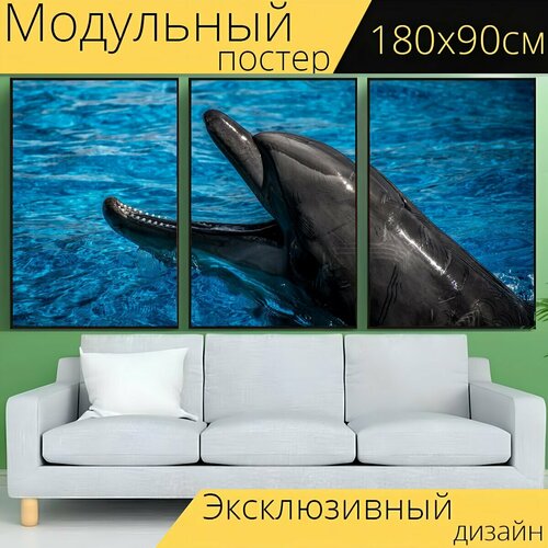 Модульный постер "Дельфин, море, вода" 180 x 90 см. для интерьера