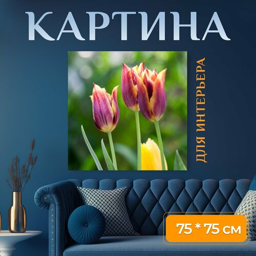 Картина на холсте "Тюльпаны, тюльпан, завод" на подрамнике 75х75 см. для интерьера