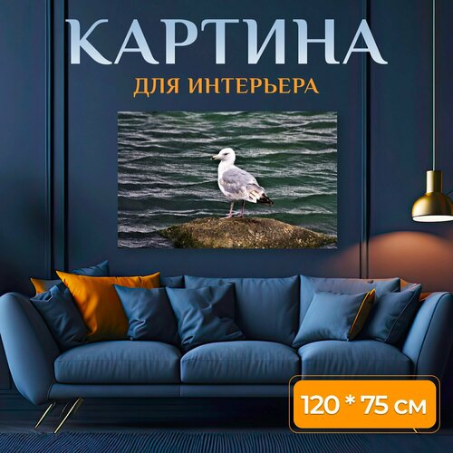 Картина на холсте "Чайка, птица, балтийское море" на подрамнике 120х75 см. для интерьера