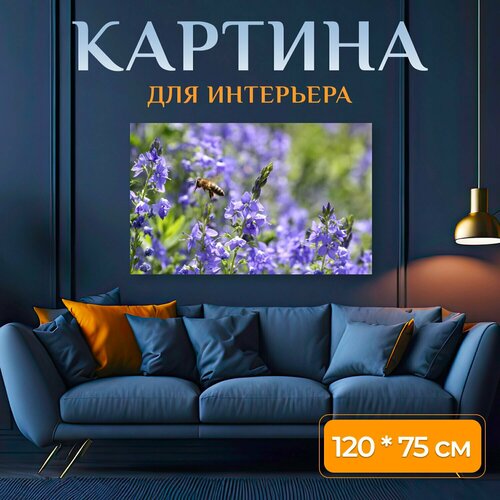 Картина на холсте "Цветок, сад, фиолетовый" на подрамнике 120х75 см. для интерьера