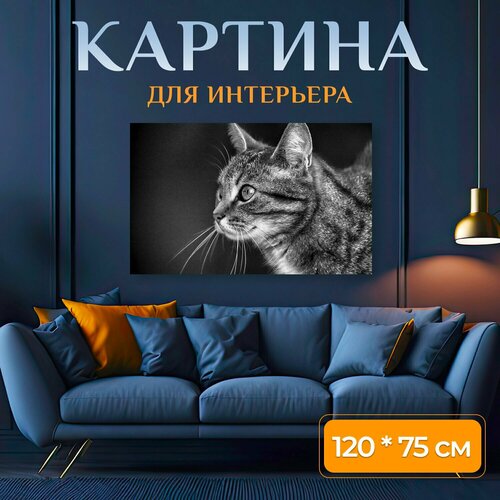Картина на холсте "Животные, кошка, портрет" на подрамнике 120х75 см. для интерьера