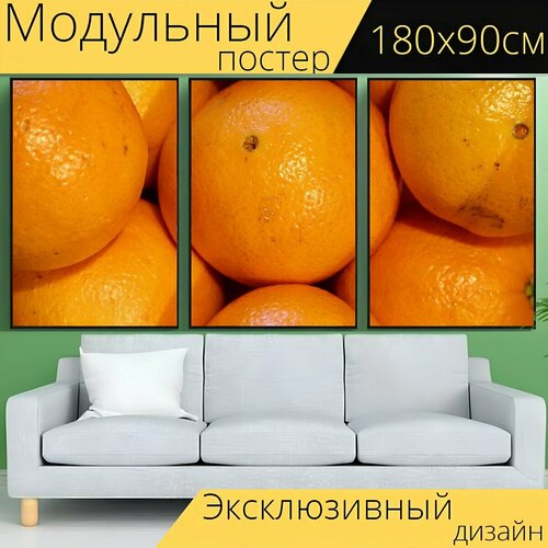 Модульный постер "Апельсины, тропические фрукты, средиземноморье" 180 x 90 см. для интерьера