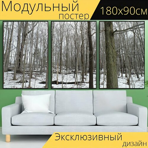 Модульный постер "Деревья, лес, зима" 180 x 90 см. для интерьера