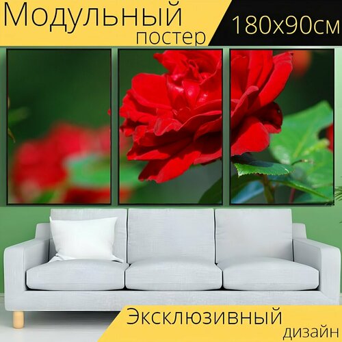 Модульный постер "Цветок, роза, красный" 180 x 90 см. для интерьера
