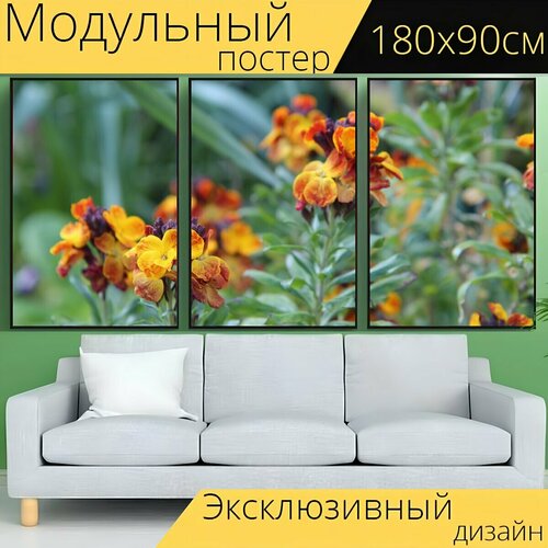 Модульный постер "Желтофиоль садовая, левкой весна, цветение" 180 x 90 см. для интерьера