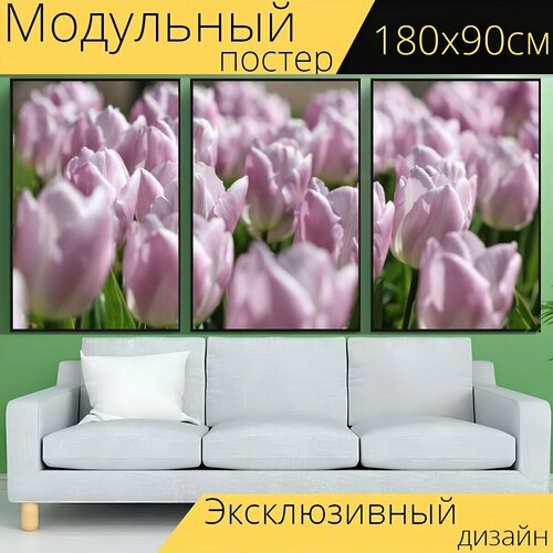 Модульный постер "Тюльпаны, весна, розовый" 180 x 90 см. для интерьера