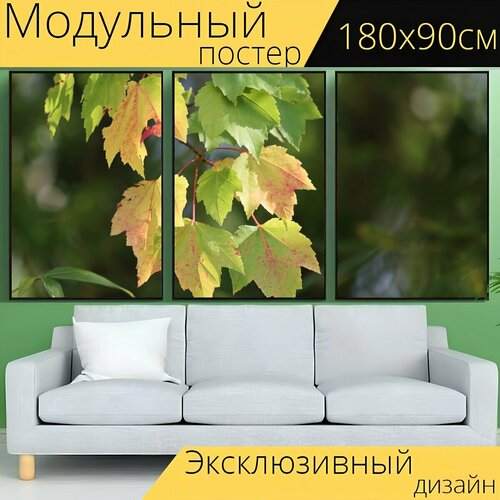 Модульный постер "Листья, листва, растения" 180 x 90 см. для интерьера