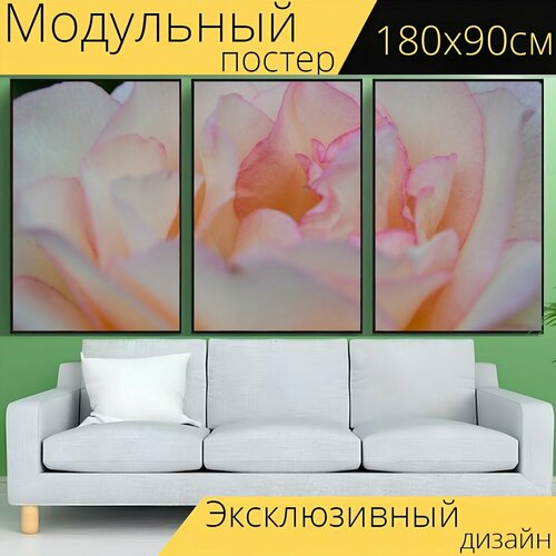 Модульный постер "Цветы, бутон, роза" 180 x 90 см. для интерьера