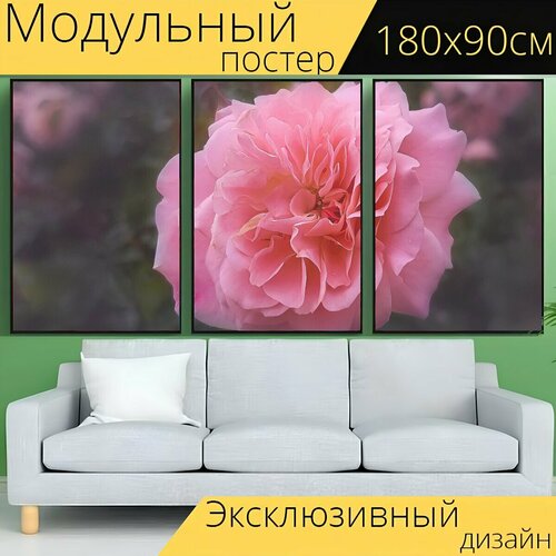 Модульный постер "Роза, цветок, красочный" 180 x 90 см. для интерьера
