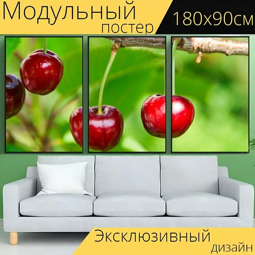 Модульный постер "Вишня, красный, фрукты" 180 x 90 см. для интерьера