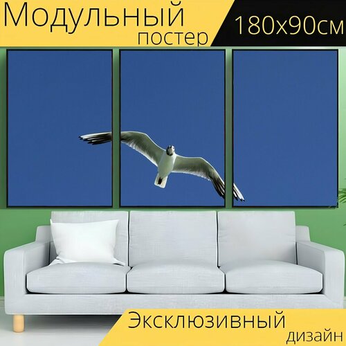 Модульный постер "Чайка, птица, полет" 180 x 90 см. для интерьера