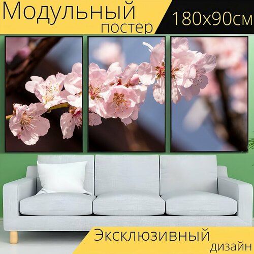 Модульный постер "Вишни в цвету, цветы, весна" 180 x 90 см. для интерьера